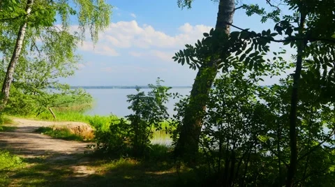 Summer nature landscape, moving by trees... | Stock Video | Pond5