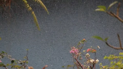 Summer rain falling drops down on swimmi... | Stock Video | Pond5