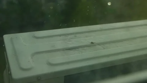 Rainy Fall Day Stock Videos – Royalty-Free HD & 4K Videos | Pond5