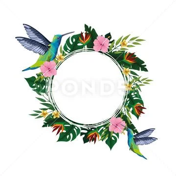 Summer tropical blank card frame: Graphic #110269997