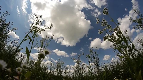 Summer white clouds leaking across the f... | Stock Video | Pond5