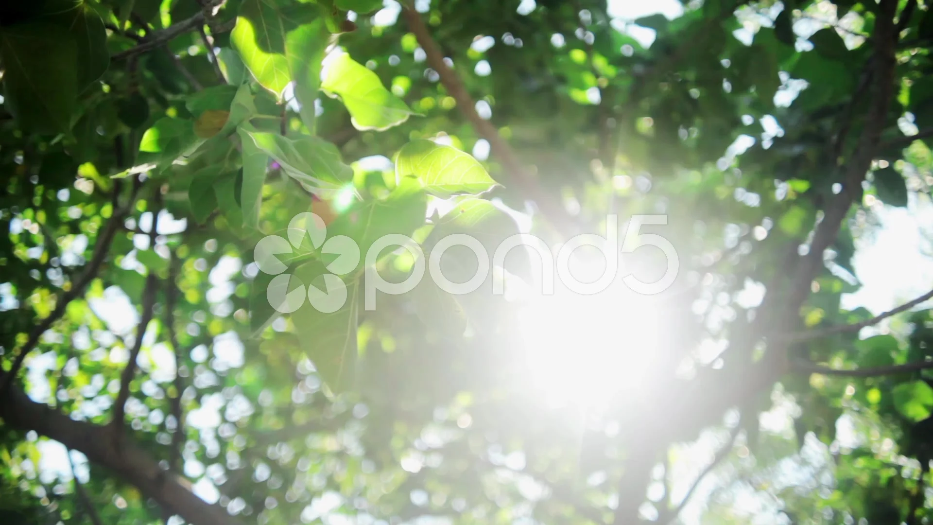 Sunlight Beaming Down - The Best Picture Of Beam