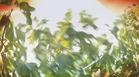 Exploding Sun Stock Video Footage | Royalty Free Exploding Sun Videos ...