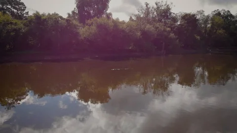 Sun flare Reveals a gorgeous swamp as a ... | Stock Video | Pond5