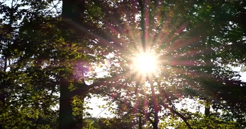 Sun, light of the sun rays and sun glare... | Stock Video | Pond5