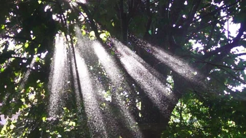 Sun rays exposing the atoms floating in ... | Stock Video | Pond5