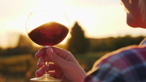 Sun rays in a glass of red wine. The han... | Stock Video | Pond5