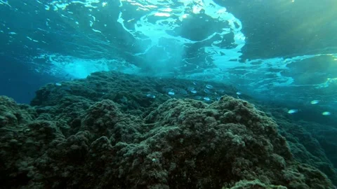 Sun rays into sea water - Majorca reef v... | Stock Video | Pond5