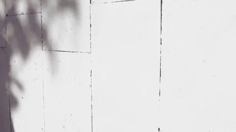 Phon Call Stock Videos – Royalty-Free HD & 4K Videos | Pond5