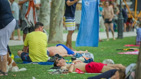 Sunbathing Vector Stock Videos – Royalty-Free HD & 4K Videos | Pond5