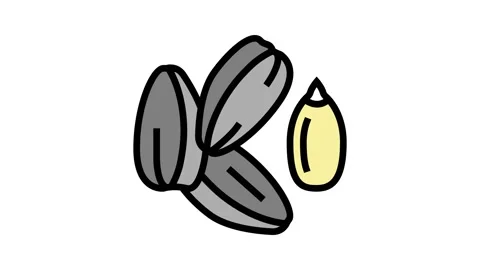 sunflower seed color icon animation | Stock Video | Pond5