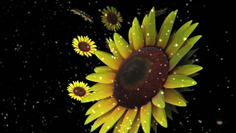 Flower Animation Stock Footage ~ Royalty Free Stock Videos | Pond5