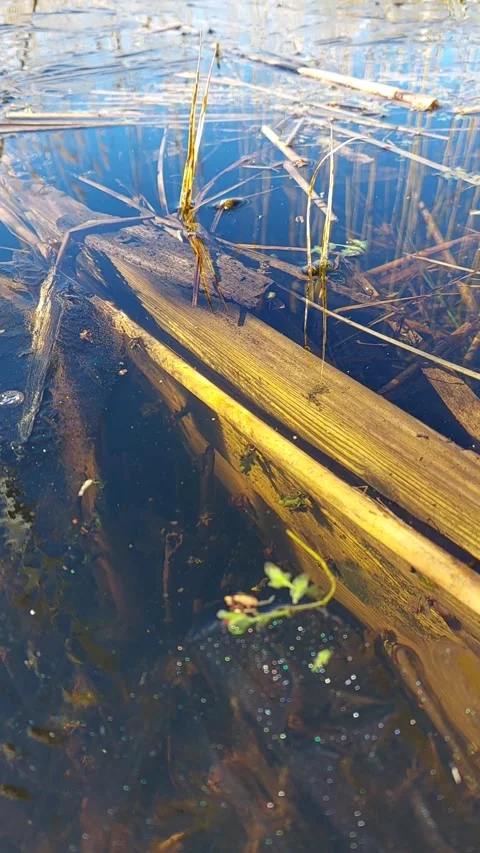Sunken Rowing Boat Under Ice | Stock Video | Pond5
