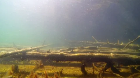 Underwater Lake Bottom Stock Video Footage | Royalty Free Underwater ...