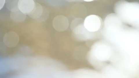 sunlight texture background | Stock Video | Pond5