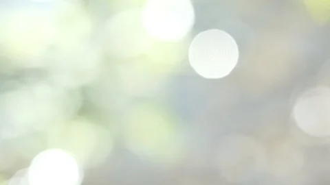 sunlight texture background | Stock Video | Pond5