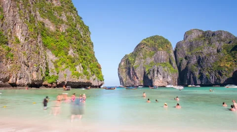 Leo The Movie Stock Videos – Royalty-Free HD & 4K Videos | Pond5