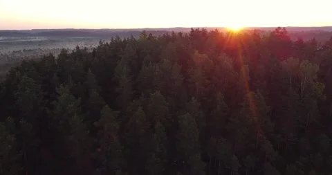 Sunrise Overlay Stock Video Footage | Royalty Free Sunrise Overlay ...