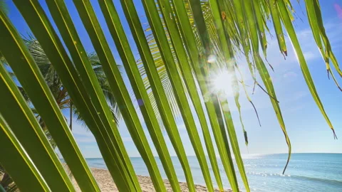 The Sun's Rays Make Their Way Through th... | Stock Video | Pond5