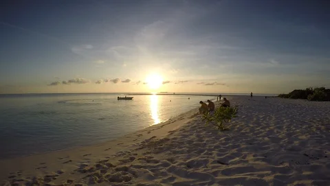 Sunset on the beach. An exciting Safari ... | Stock Video | Pond5