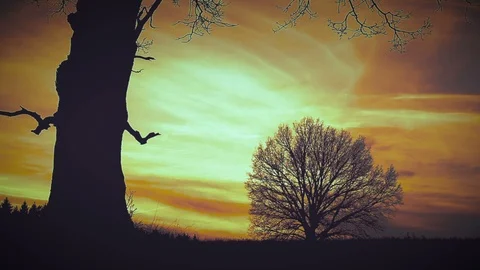 At sunset, death with a scythe runs fast | Stock Video | Pond5