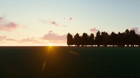 Sunset in Forest 4k Animation, 3D Render... | Stock Video | Pond5