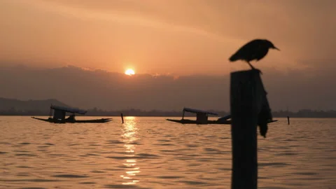 Lake India Stock Videos – Royalty-Free HD & 4K Videos | Pond5