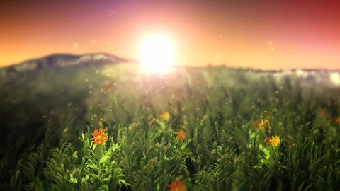 Grass Loop Stock Video Footage | Royalty Free Grass Loop Videos | Pond5