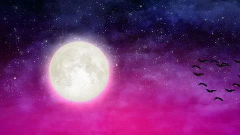 Sunset Pink Starry Night Sky with Birds ... | Stock Video | Pond5