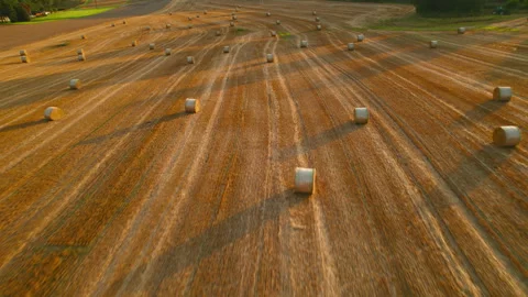 Haiying Long Stock Videos – Royalty-Free HD & 4K Videos