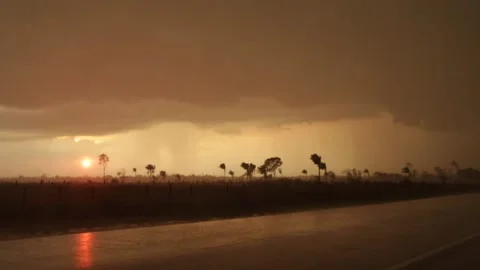 Amazon Rainforest Storm Stock Videos – Royalty-Free HD & 4K Videos | Pond5