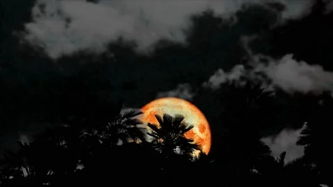 super blood cold moon rise back silhouet... | Stock Video | Pond5