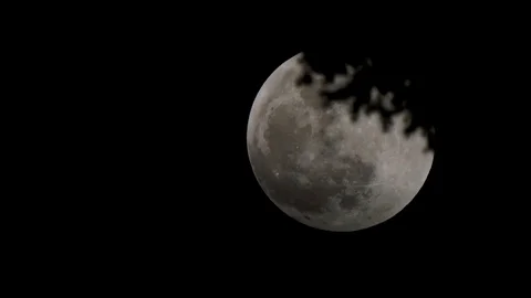 Super Start Images Stock Videos – Royalty-Free HD & 4K Videos