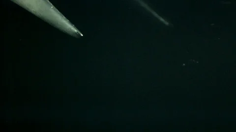 Bullets Water Stock Videos – Royalty-Free HD & 4K Videos