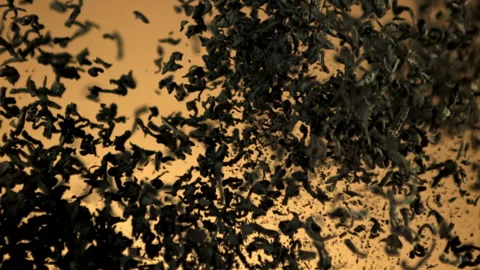 Pileing Up Tea Stock Videos – Royalty-Free HD & 4K Videos | Page 3