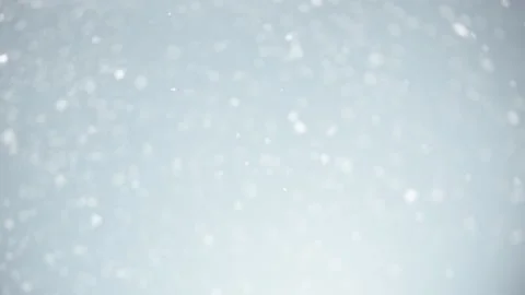 Real Snow Falling Stock Footage ~ Royalty Free Stock Videos | Pond5