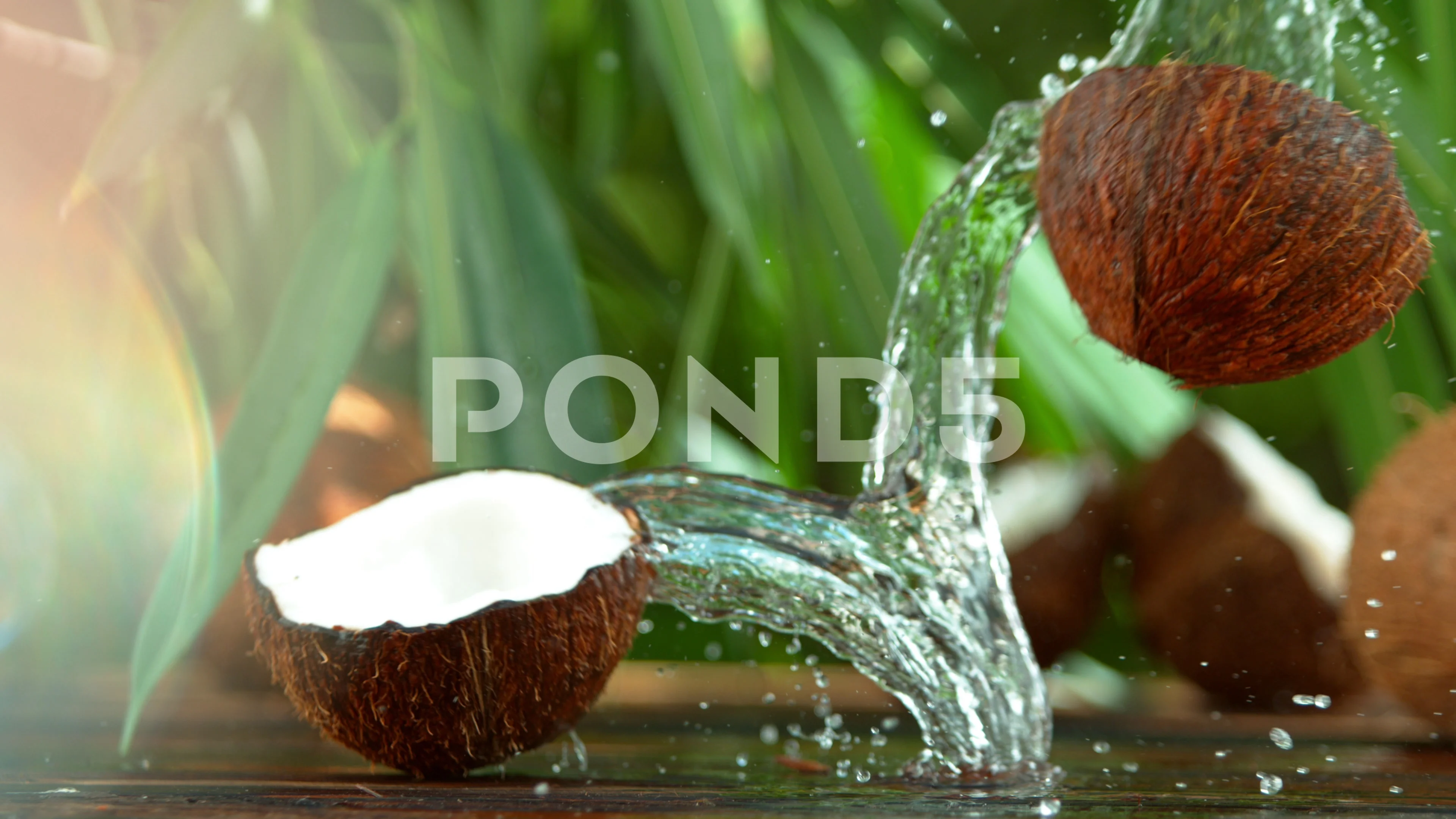 Green Coconut Water Splash