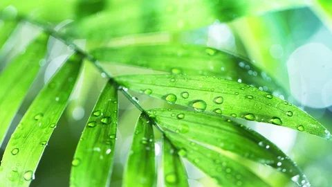 Super slow motion of splashing water dro... | Stock Video | Pond5