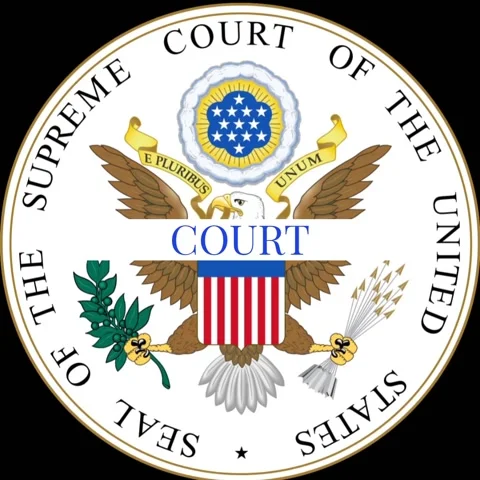 Election Court Stock Videos – Royalty-Free HD & 4K Videos