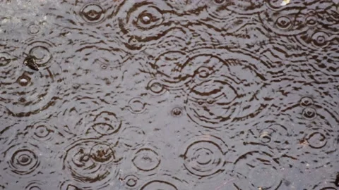 Rain Drops On Puddle Stock Footage ~ Royalty Free Stock Videos | Pond5