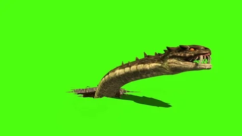 Surface Front Video Stock Videos – Royalty-Free HD & 4K Videos