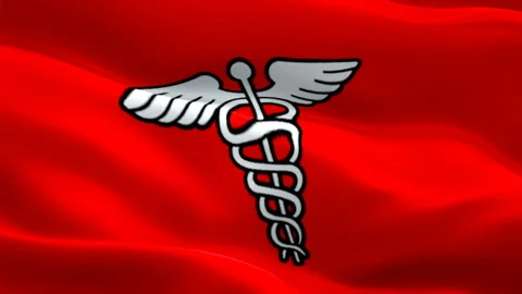 Un Video Club Stock Videos – Royalty-Free HD & 4K Videos | Pond5