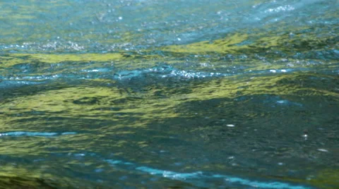 Green Current Stock Video Footage | Royalty Free Green Current Videos ...