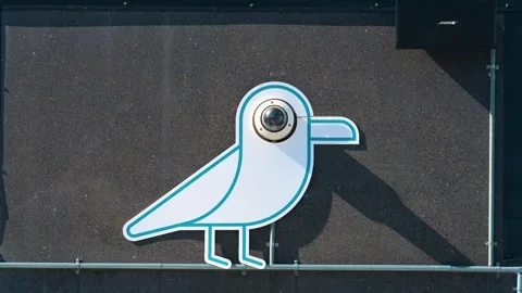 Surveilance camera neatly hidden in a bi... | Stock Video | Pond5