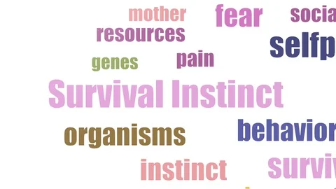 Survival Background Stock Footage ~ Royalty Free Stock Videos | Pond5