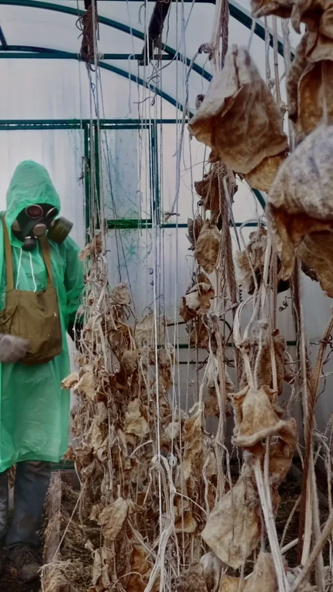 Survivor Man Stock Videos – Royalty-Free HD & 4K Videos | Pond5