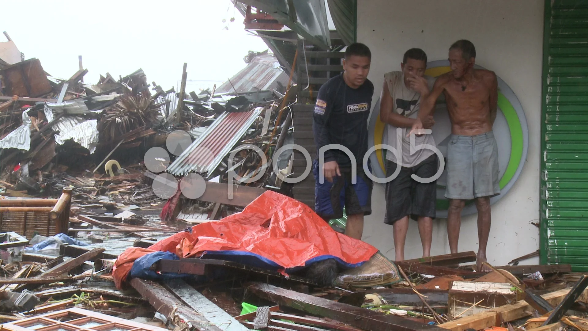 Typhoon Haiyan Bodies In Trees