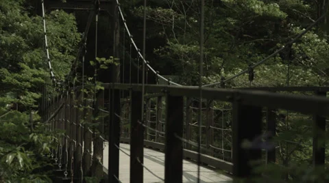 Non Colour Graded Stock Videos – Royalty-Free HD & 4K Videos