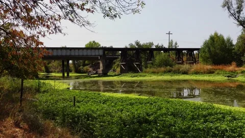 Suspension bridge over a swamp with the ... | Stock Video | Pond5