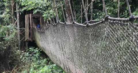 Suspension Rope bridge tropical rainfore... | Stock Video | Pond5